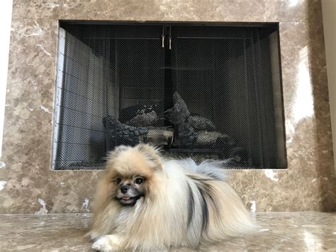 Olivia Beard Oliviabeard Twitter