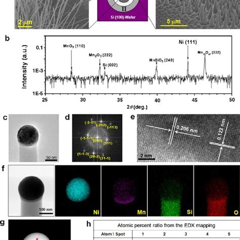 Sio 2 Nanocone And Mnsio 3 Cap Structure From The Mn 2 Si System Download Scientific