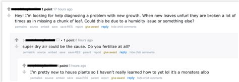 My Plant Is Missing Chunks From Its Leaves Rhouseplantscirclejerk