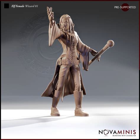 3d Printable Elf Female Wizard 01 By Novaminis