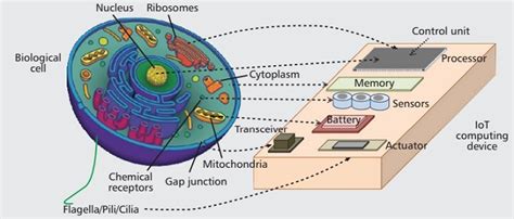 what is the internet of bio nano things iot tech trends