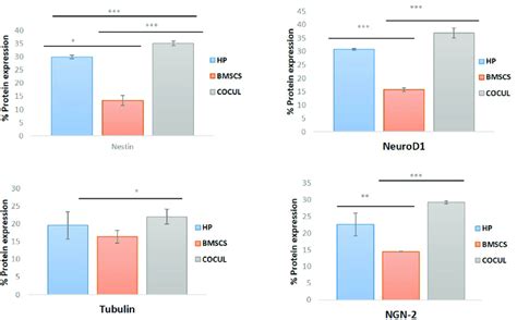 Levels Of Neurogenic Differentiation Markers Neurod1and Neurogenin 2 Download Scientific