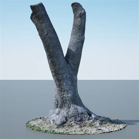 Tree Trunk 09 3d Model Cgtrader