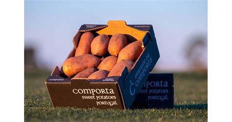 Производството на сладки картофи в Европа се увеличава Български Фермер