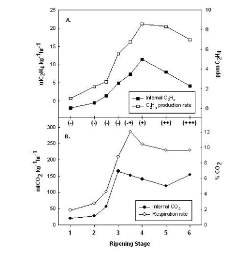 Internal Ethylene Level And Ethylene Production Rate A And Internal