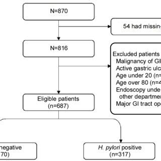 Flowchart Of The Study GI Gastrointestinal H Pylori Helicobacter Download Scientific