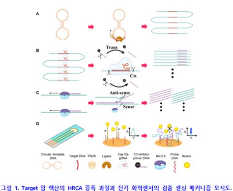 “dna를 이용한 암 진단의 일반화를 앞당기길 기대” 대학지성 Inandout