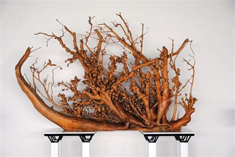 Root Art by Neyer, via Flickr | Driftwood sculpture, Wooden art, Wood art