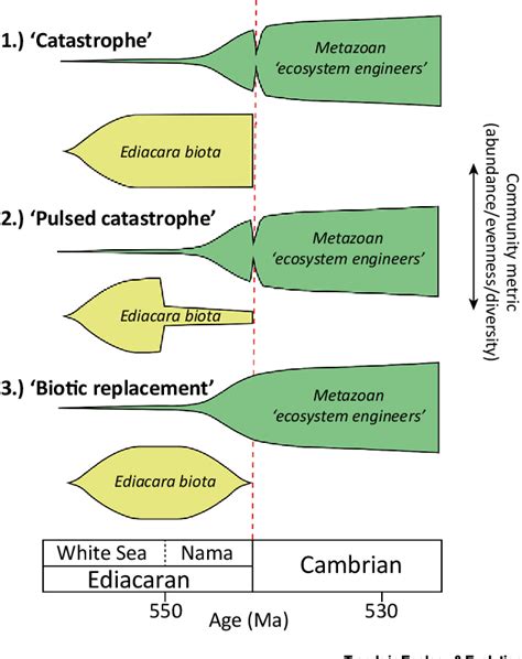 Figure 2 From Ediacaran Extinction And Cambrian Explosion Semantic