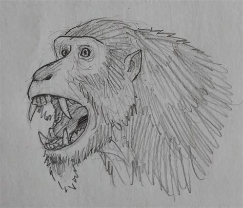 Bearded Prairie Macaque Neopithecus Barbatus Parallel Earth Rspeculativeevolution