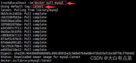 写最好的docker安装最新版mysql8（mysql 8 0 31）教程（参考docker hub和mysql官方文档） docker
