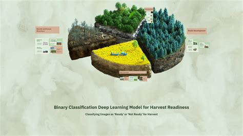 Binary Classification Deep Learning Model For Harvest Readiness By Itachi Uchiha On Prezi