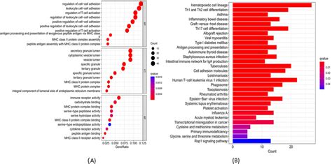 The DEGs From The Training Set Were Analyzed For Functional Download Scientific Diagram
