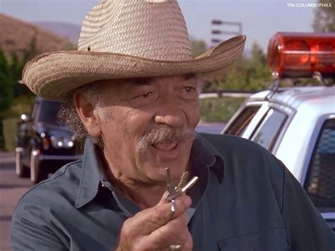 Bird Fernando 4 The Columbophile Blog