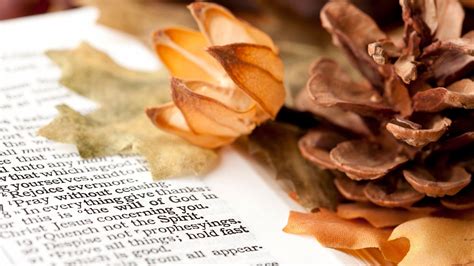 40 Cute Short Bible Verses