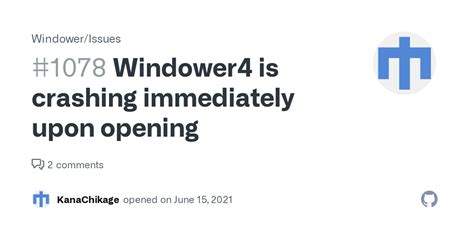 windower4 is crashing immediately upon opening · issue 1078 · windower