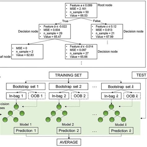 Schematic Diagrams Of Decision Tree A And Random Forest B Models