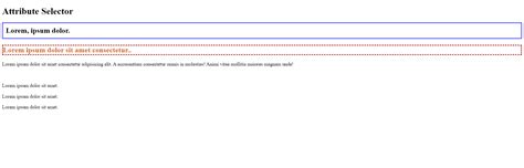 frontend developer roadmap css3 tutorial 18 attribute selector