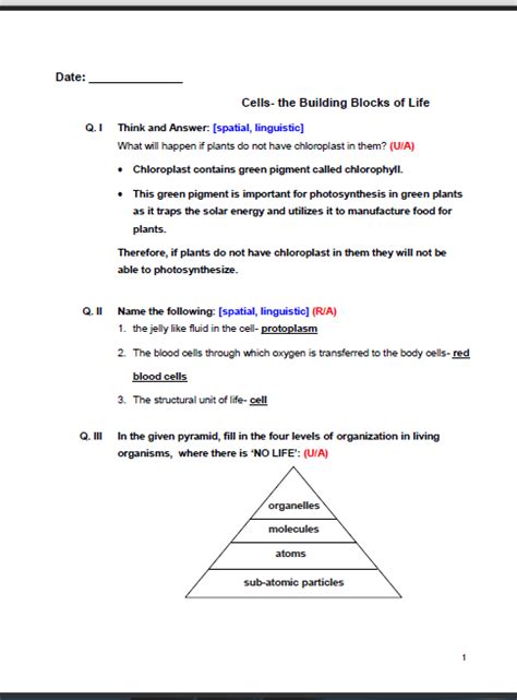 Worksheet Cells The Building Blocks Of Life