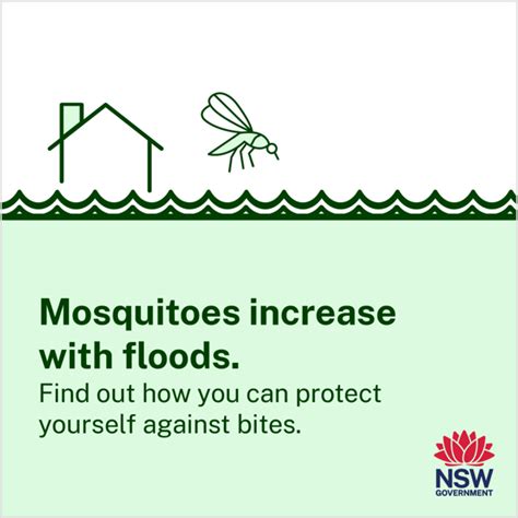 Resources Mosquito Reduction
