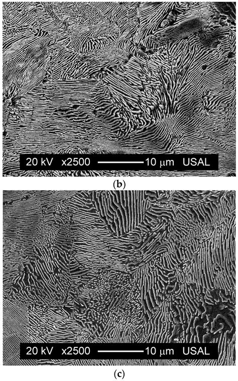 Coarse Pearlite Microstructure