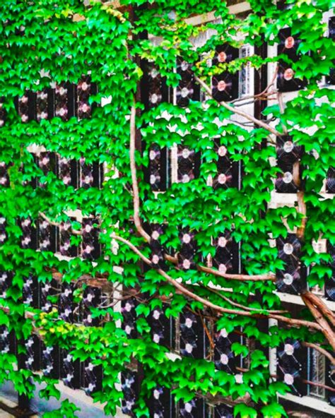 Bitcoin Energy Use Vs Other I Bitcoin Magazine Bitcoin News Articles And Expert Insights