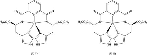 Metal Complexes Of Acyclic And Macrocyclic Multifunctional Ligands