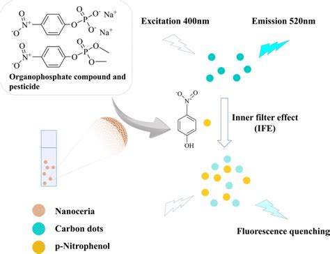 Schematic Illustration Of Fluorescence Technique Based On Inner Filter Download Scientific