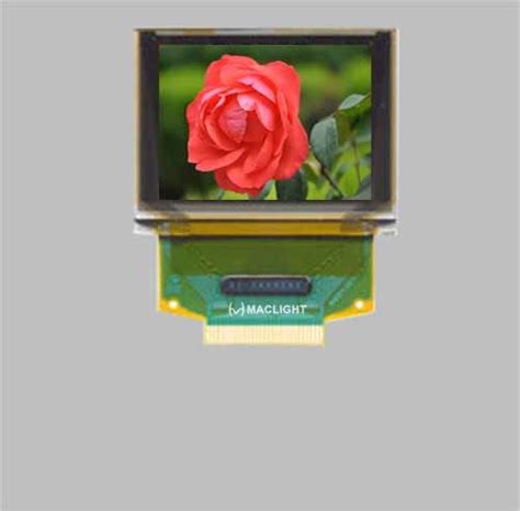 Inch Color OLED Display Module X Pixels OLED Screen OLED Screen And Color OLED Price