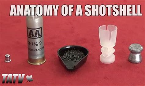Less Lethal Bean Bag Shotshells Explained Uses