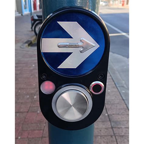 Ped Push Button Extension At Ami Hernandez Blog