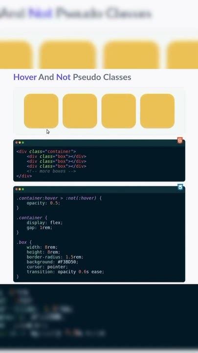 Hover And Not Pseudo Classes Short Shorts Html5css3 Webdesign