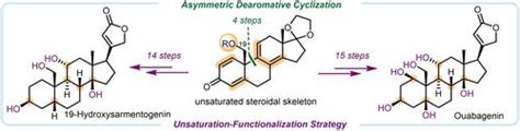 Total Syntheses Of Polyhydroxylated Steroids By An Unsaturation