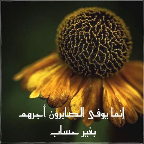 قرآن كريم ~ آية ~ إنما يوفى الصابرون أجرهم بغير حساب