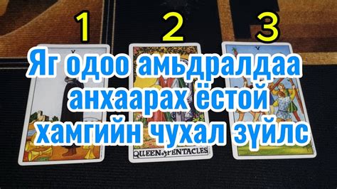 Яг одоо амьдралдаа анхаарах ёстой хамгийн чухал зүйлс Youtube