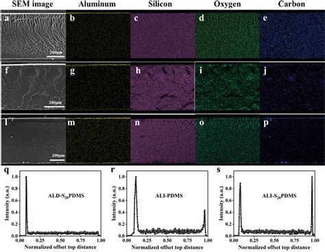 Cross‐sectional Sem Images And Corresponding Eds Maps Of S‐pdms Hybrid Download Scientific