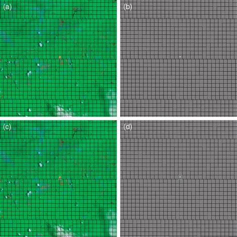 Validation Of Modis Active Fire Detection Products Derived From Two Algorithms In Earth