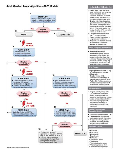 Acls Diagram Acls Skills Check Off