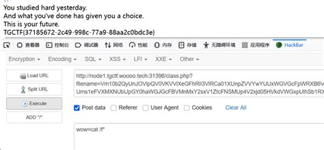 Tgctf Webtgctf题解 Csdn博客