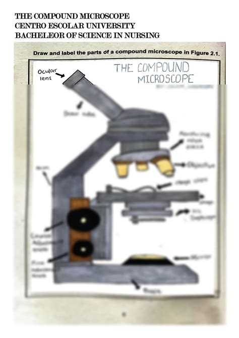 Solution Drawn Illustration Of The Compound Microscope Studypool
