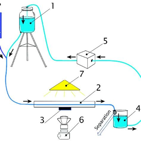 Schematic Of Experimental Hydrodynamic Setup For Positioning Ferrogel