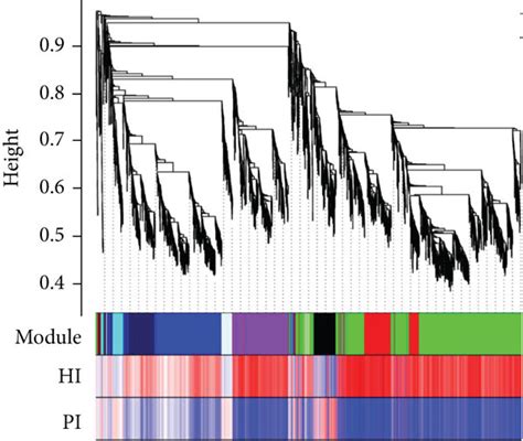 weighted gene coexpression network analysis of rna seq data a