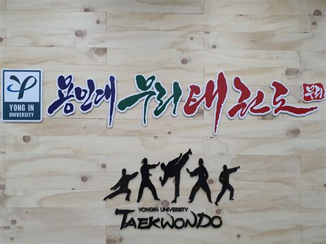 용인대우리태권도어은관 Band