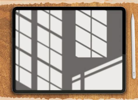 Window Light Brushes For Procreate Graphicsbunker