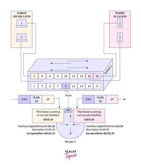 Router On A Stick Scaler Topics
