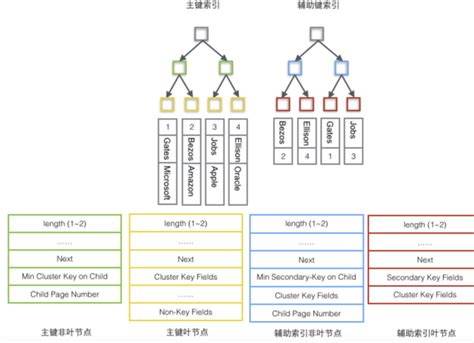 MySQL底层知识 mysql的底层知识 CSDN博客