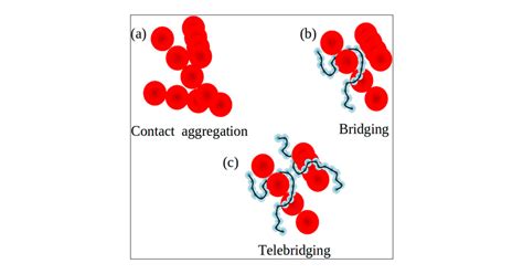 Dispersion Depletion And Bridging Of Athermal And Attractive Nanorods In Polymer Melt