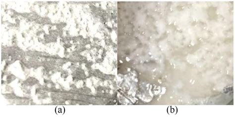 The Tensile Fracture Morphology Of Peg 10liclo4 8 Ceo2 And Al A Al Download Scientific