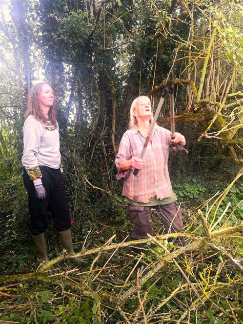 Syntropic Agroforestry Workshop