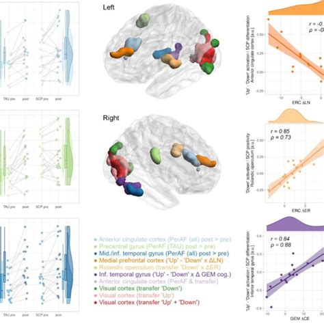 Results Of The Resting Brain Activity And Brain Regulation Task Analyses Download Scientific